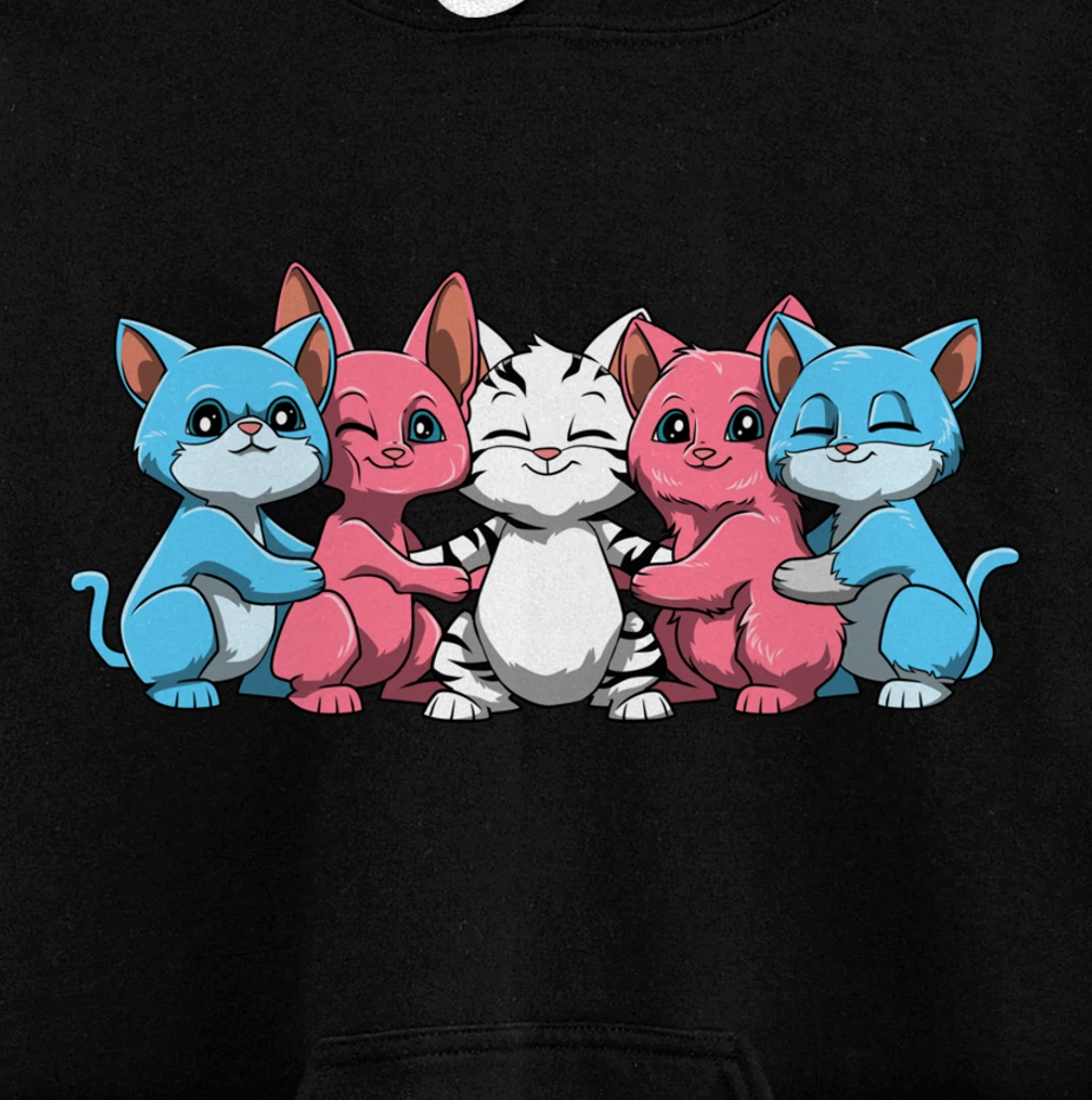 Cute Transgender Pride Cats Hugging Trans Cats Pullover Hoodie