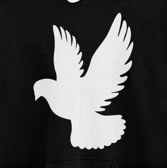 Dove Bird of Peace Flying Ornithology Shadow Ornithologist Pullover Hoodie