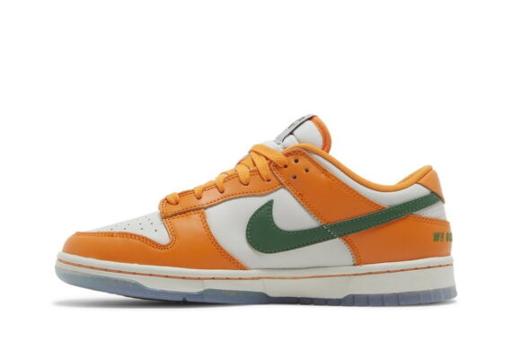 Nike Dunk Low FAMU